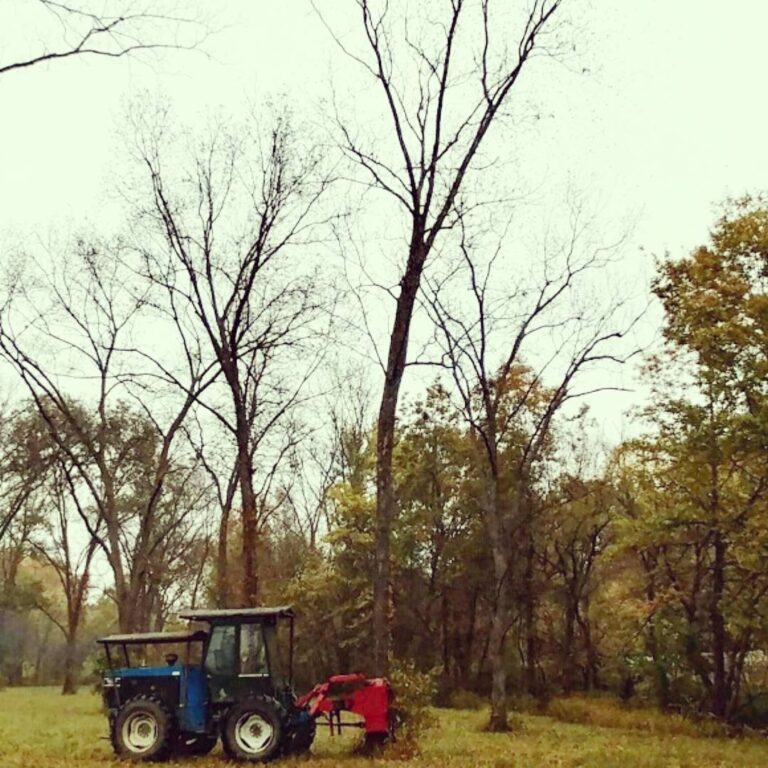 Gallery - Missouri Northern Pecans Growers
